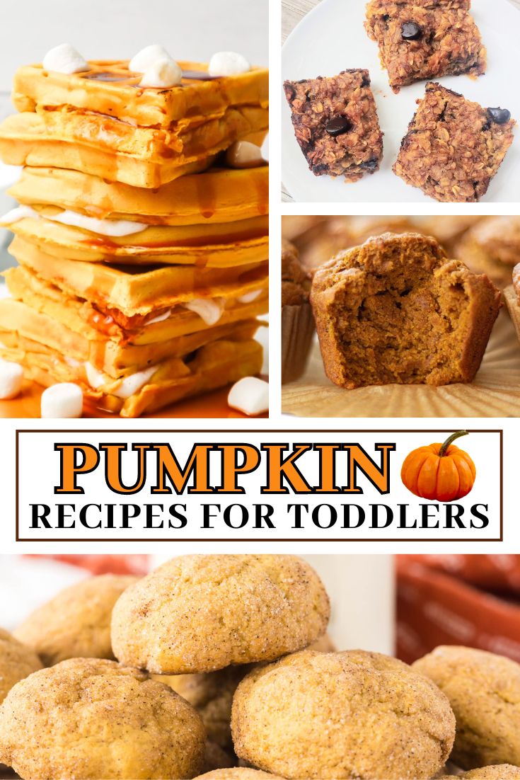 Pumpkin Recipes for Toddlers | Easy Snacks and Meals