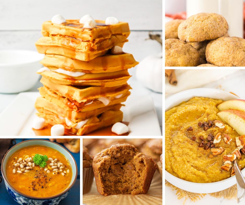 Pumpkin Recipes for Toddlers | Easy Snacks and Meals