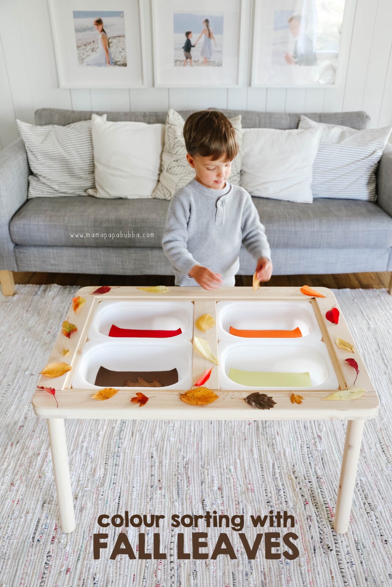 Color Sorting Activities for 2 Year Olds: Fun and Easy Ideas