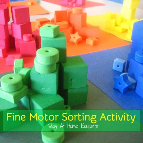 Color Sorting Activities for 2 Year Olds: Fun and Easy Ideas